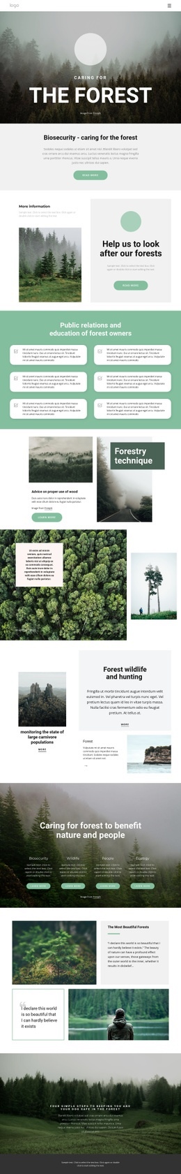 Forest Elementor Templates | Nicepage