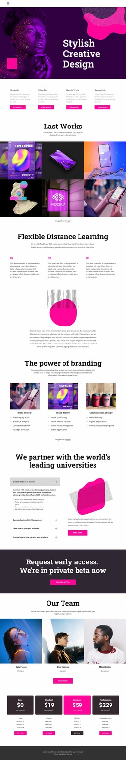 University Website Mockups