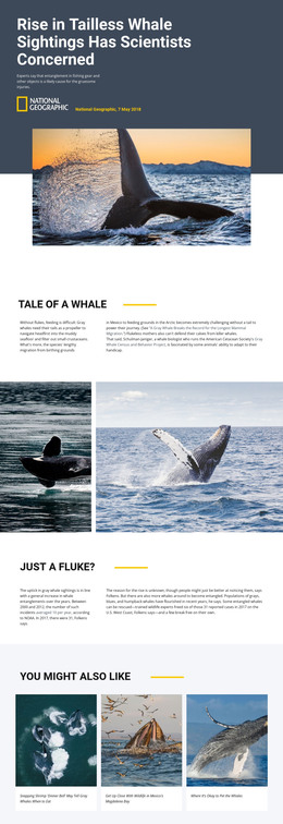 350 Nature HTML Templates | Nicepage