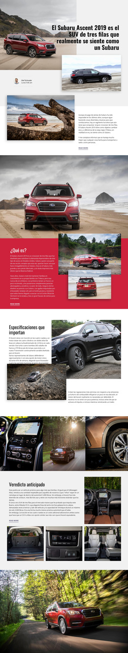 Escuela de entrenamiento de baloncesto - Tema de WordPress por Nicepage