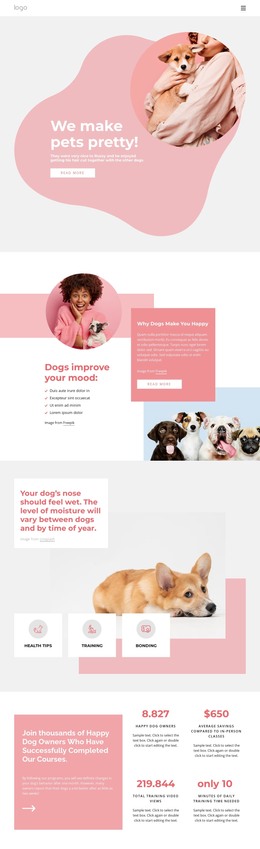 All for your pets - Website Template by Nicepage