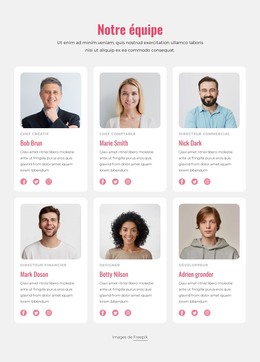 Rencontrez le bloc d'équipe - Modèle HTML par Nicepage
