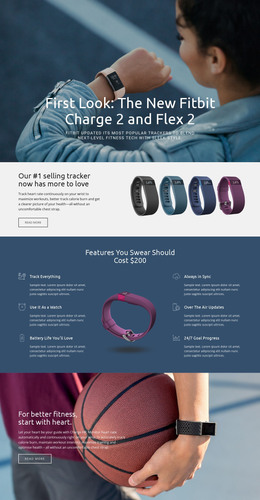Flex 2 - CSS Template by Nicepage