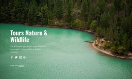 Tours nature and widlife - Website Template by Nicepage