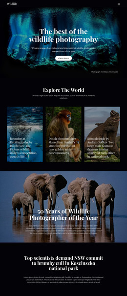 Wildlife and nature - Html Code Example by Nicepage