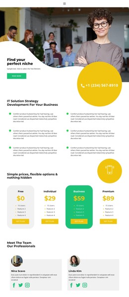 Financial Consulting - Website Template by Nicepage
