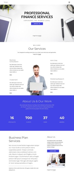 Professional finance services - Website Template by Nicepage