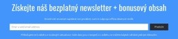 Získejte náš bezplatný newsletter – Šablona CSS od Nicepage