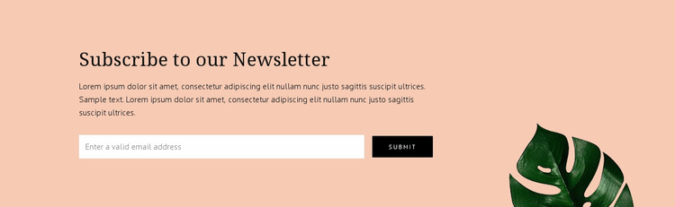 Newsletter Subscription Website Template