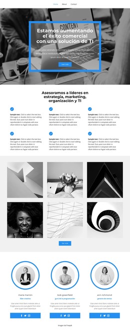 Una gama completa de servicios - Plantilla HTML5 por Nicepage