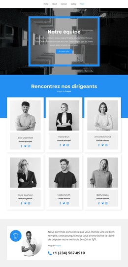 Le meilleur des ingénieurs - Modèle HTML par Nicepage