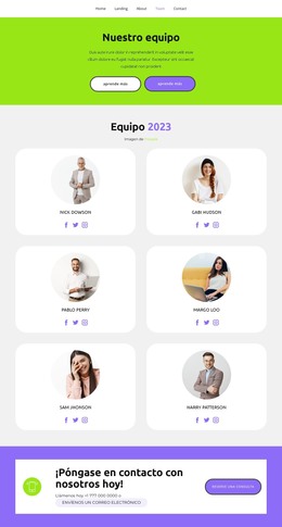 Equipo de liquidación - Plantilla HTML por Nicepage