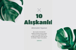 Karbon ayak izinizi azaltın - Şablon Nicepage tarafından