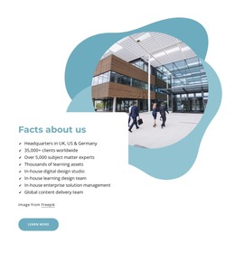 Facts about us - CSS Template by Nicepage