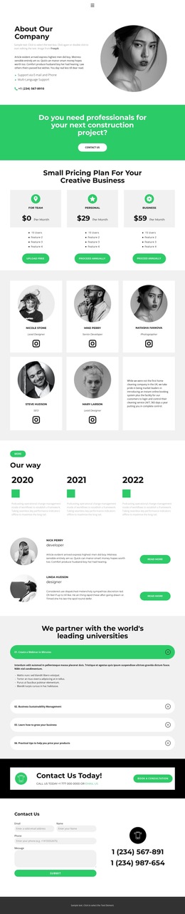 The team of experts - HTML5 Template by Nicepage