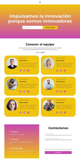Un líder ideal - Plantilla HTML5 por Nicepage