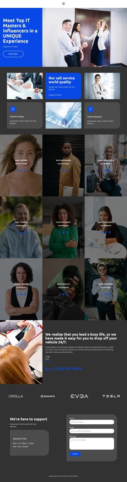 Level of expertise - One Page Template by Nicepage