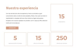 Nuestra experiencia - Plantilla HTML5 por Nicepage
