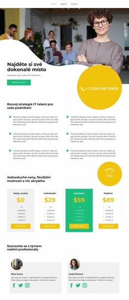 Setting up all processes – Šablona HTML od Nicepage