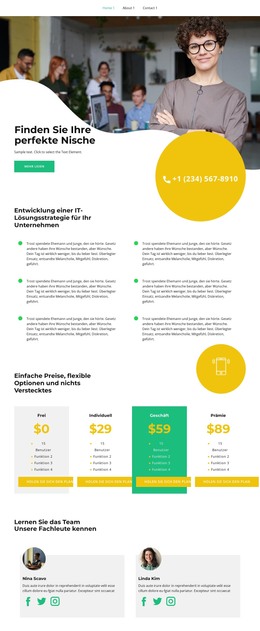 Setting up all processes – HTML-Vorlage von Nicepage