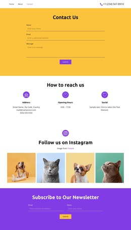 Follow us on - HTML Template by Nicepage