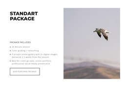 Embodying Style - CSS Template by Nicepage