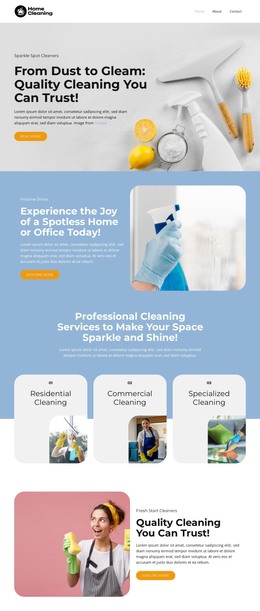 Pristine Shine - Website Template by Nicepage