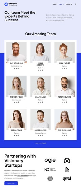 Investment consultancy team - HTML Template by Nicepage