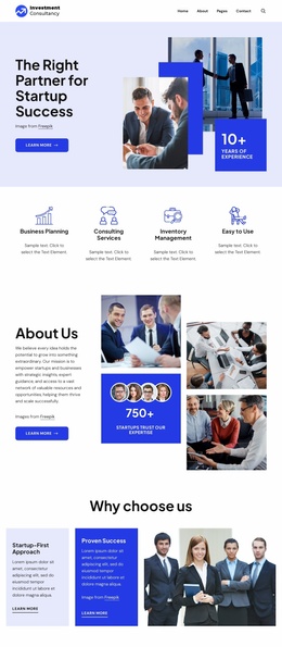 Partner for startup success - Website Template by Nicepage