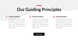 Our guiding principles - Template by Nicepage